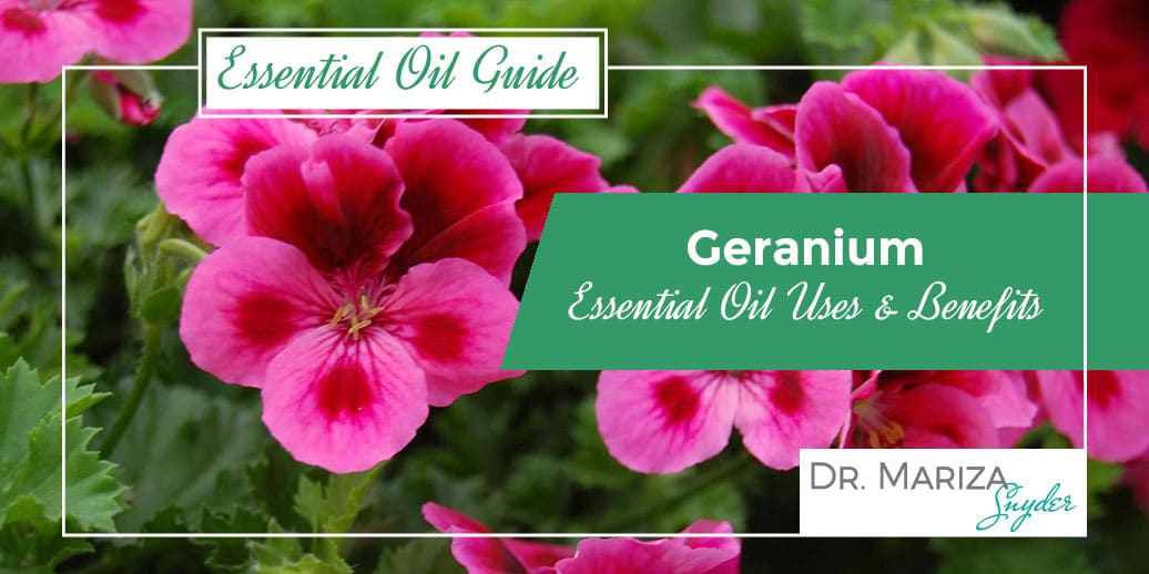 Geranium Essential Oil Uses and Benefits - Dr. Mariza Snyder
