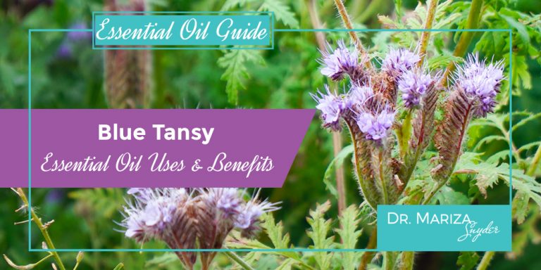 Blue Tansy Essential Oil Uses & Benefits with Dr. Mariza